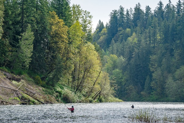 Our Fishing is Off the Hook